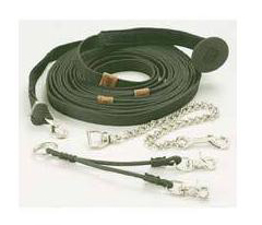 training equipment lunging