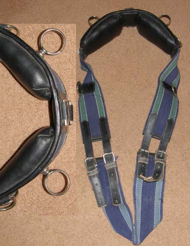 training equipment lunging pg2