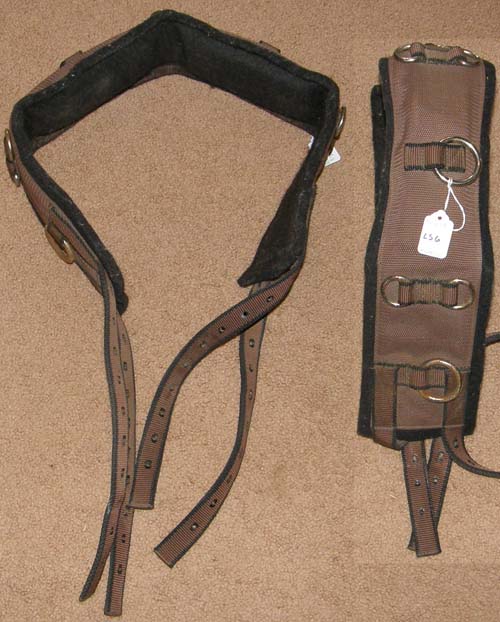 training equipment lunging pg2